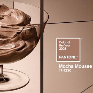 2025 Color Of The Year: Mocha Mousse - Gem